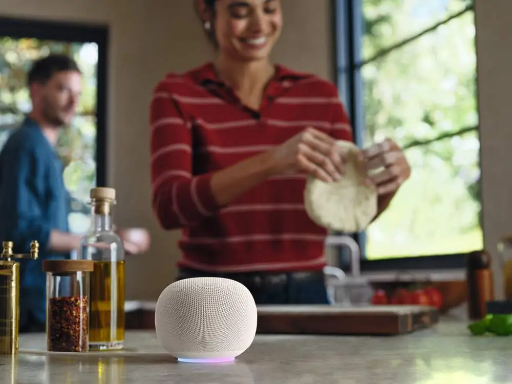 Google acaba com Nest Audio e Mini: a casa inteligente muda de fase